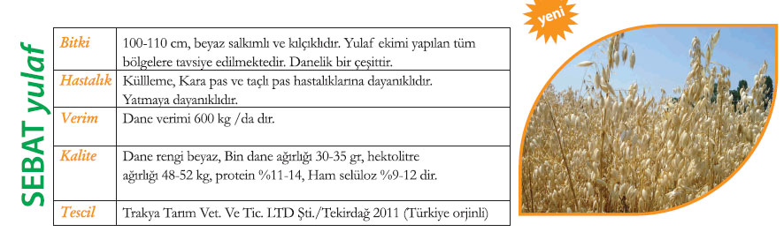 Agrogen Tarım | Tarla Grubu